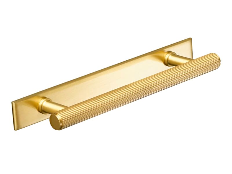 Stirling Satin Brass Handle With Back Plate | Magnet