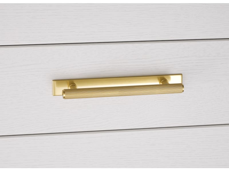 Stirling Satin Brass Handle With Back Plate | Magnet