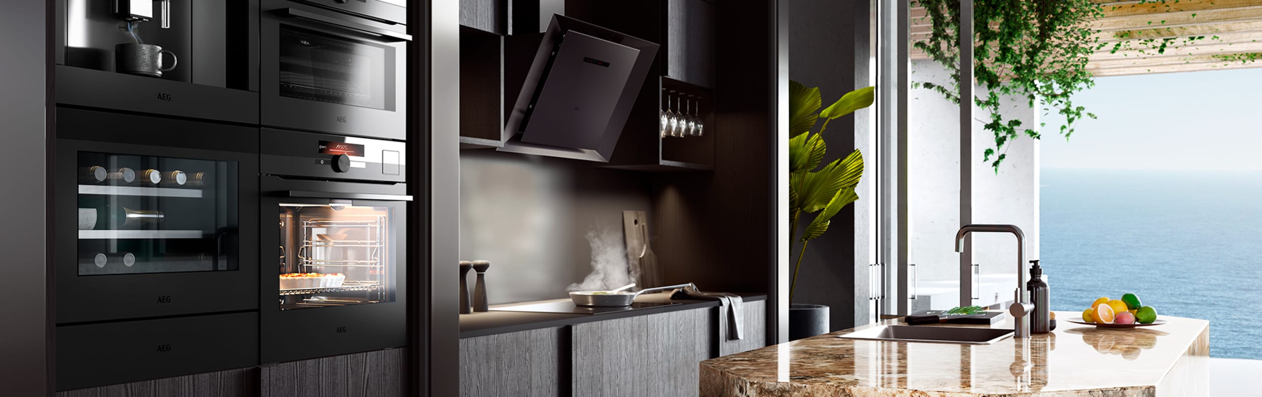 AEG - Appliances for the kitchen and utility room | HTH