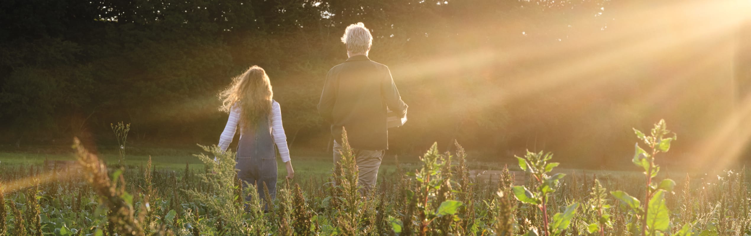 Küche, Bad und Garderobe mit dem "Nordic Swan Ecolabel" zertifiziert | HTH